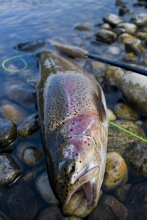 5 Tips for Fishing From a Float Tube | Float Tube Fishing
