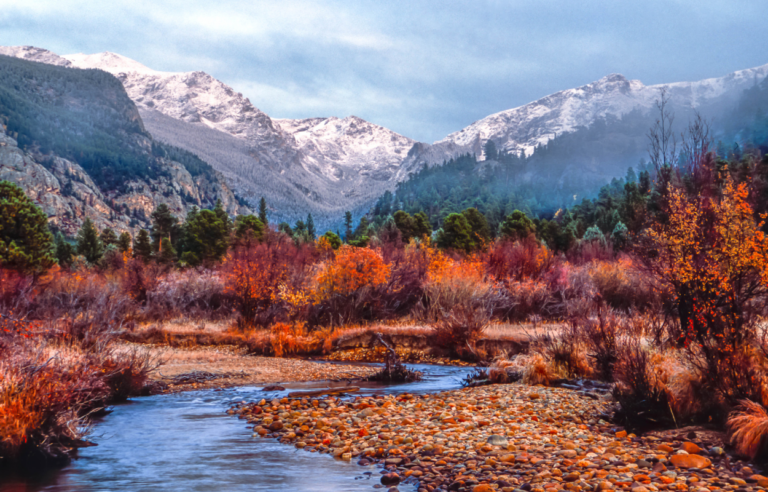 Big Thompson River Fly Fishing — Angler's Guide