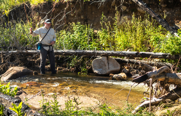 Big Thompson River Fly Fishing — Angler's Guide
