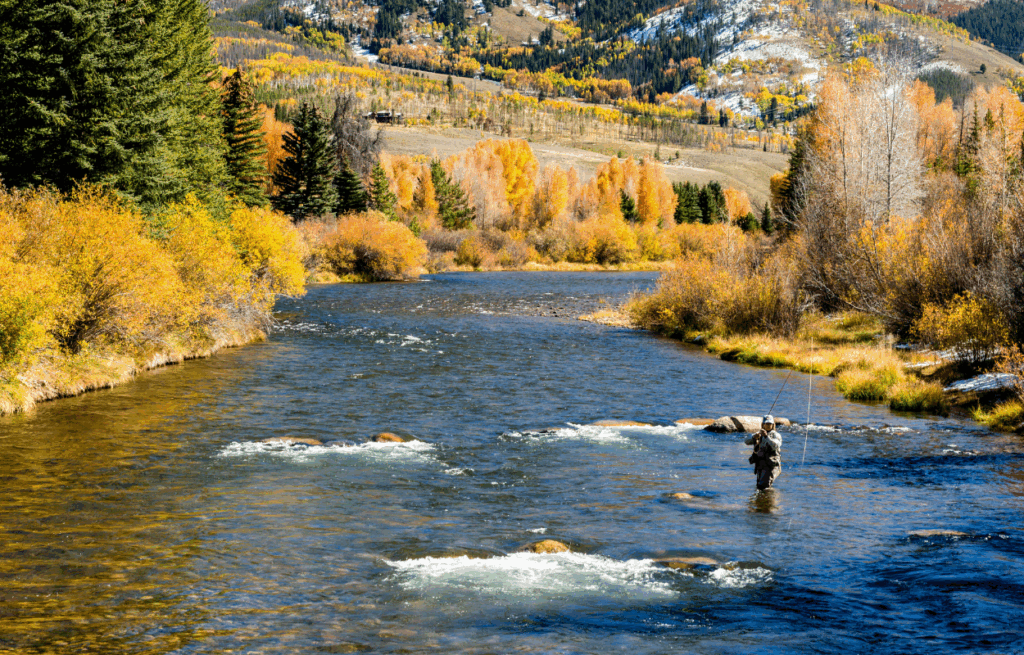 What Flies Work Best in October in Colorado? - Kirks Flyshop